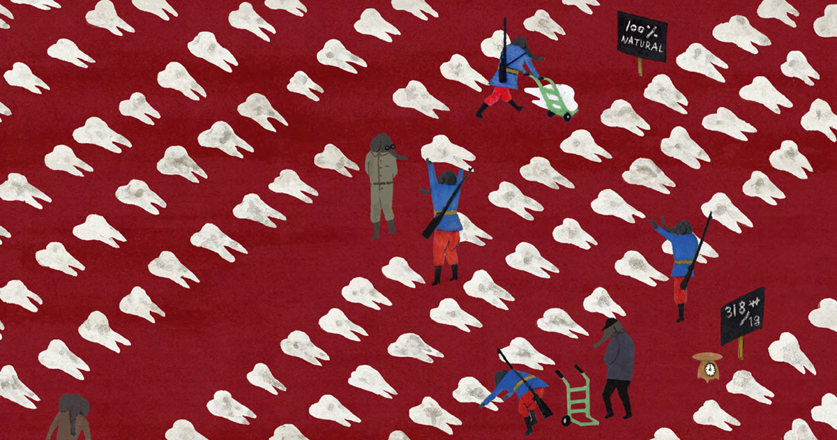 Won Hee Jo | Picturebook Makers