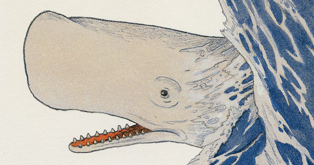 Daniel Fehr | Picturebook Makers